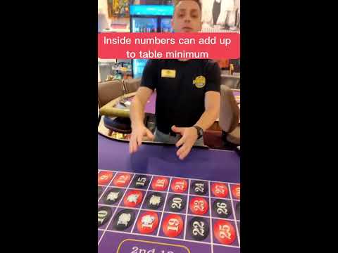 Hollywood florida casino blackjack table minimums - Top Licensed ...